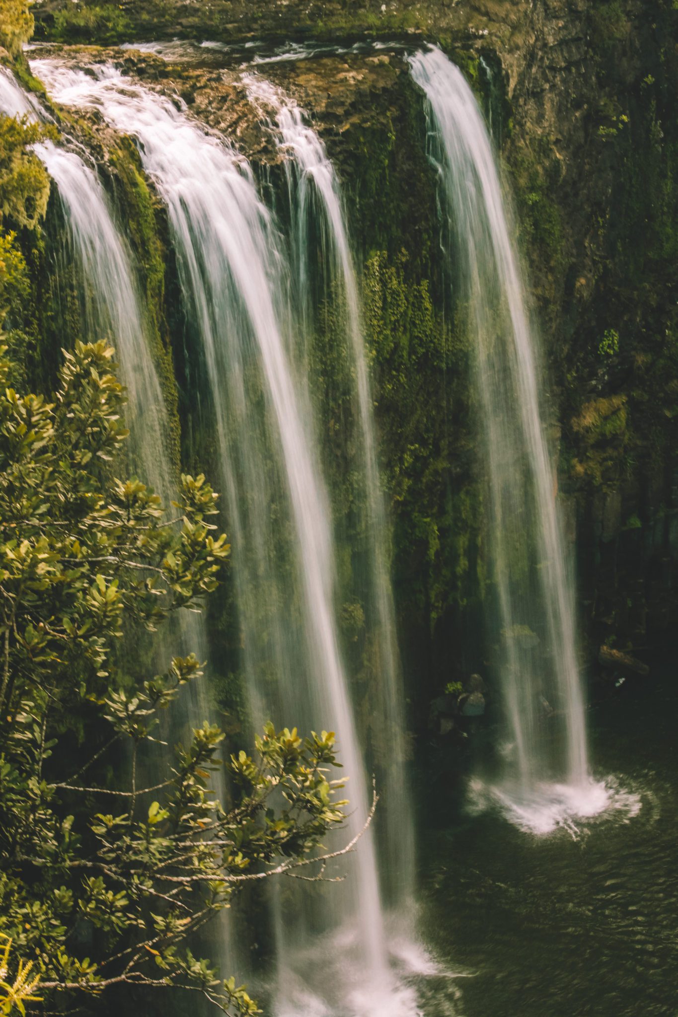 9 Incredible Places to Visit in Northland New Zealand | Simply Wander
