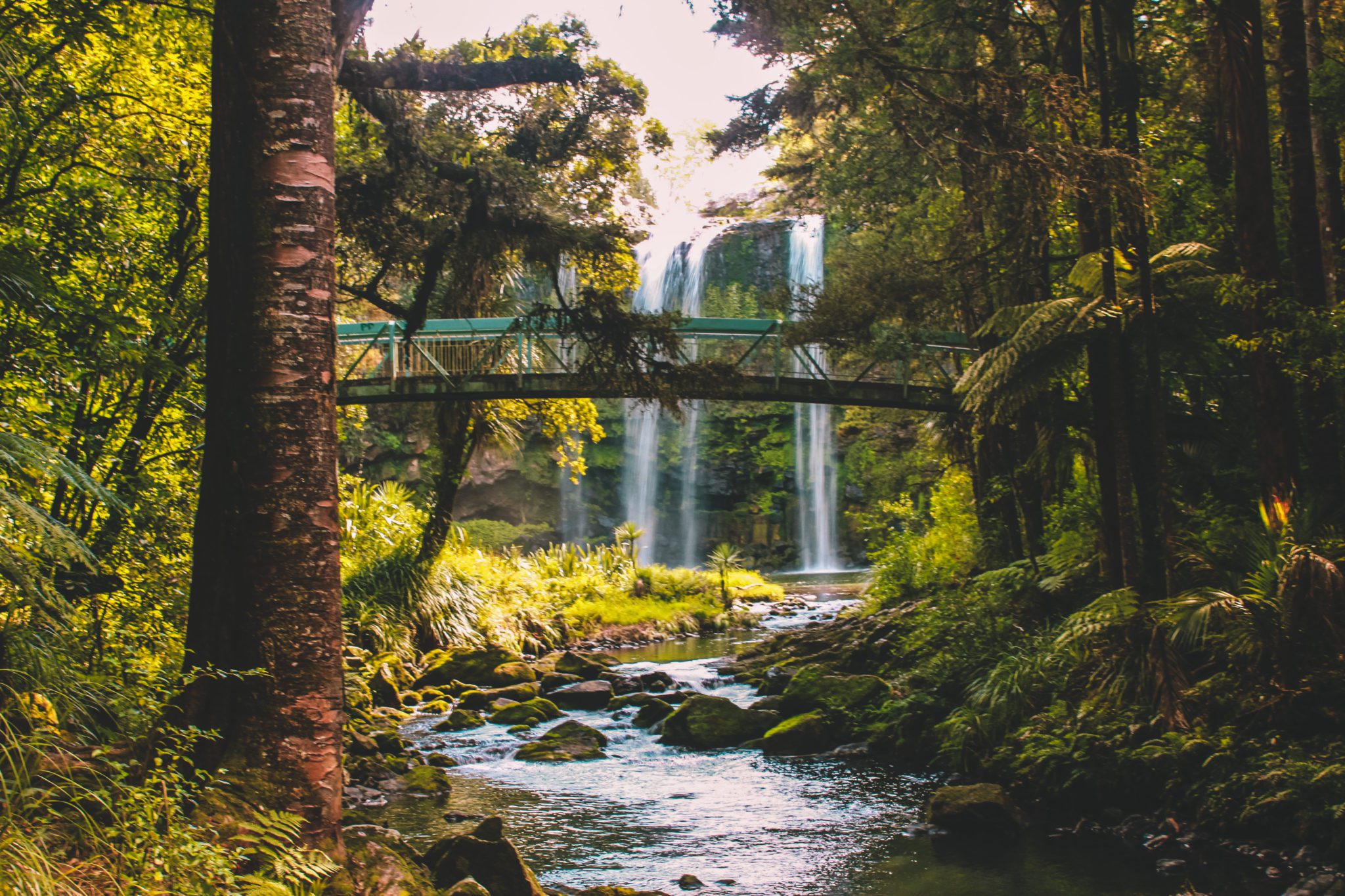 9 Incredible Places to Visit in Northland New Zealand | Simply Wander