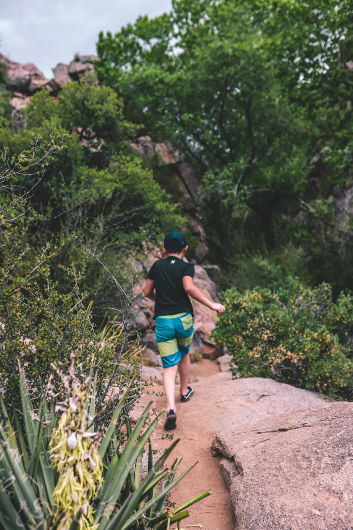 Water Wheel Falls: One of Arizona's Best Water Hikes | Simply Wander