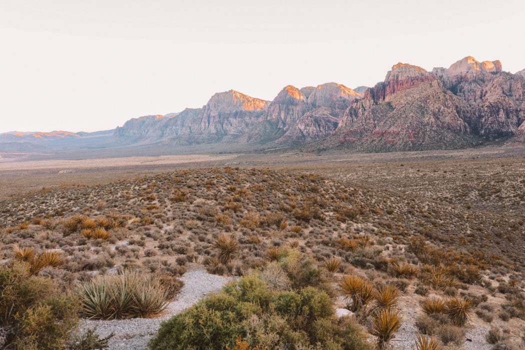 Best things to do in Red Rock Canyon: A Las Vegas Hidden Gem | Simply ...
