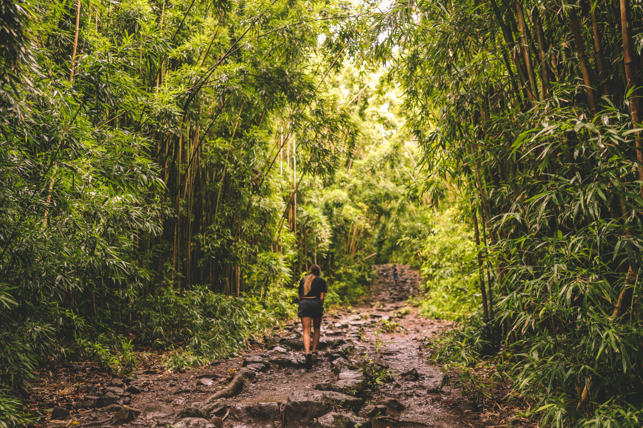 Pipiwai Trail: The Best Waterfall Hike in Maui Hawaii - Simply Wander