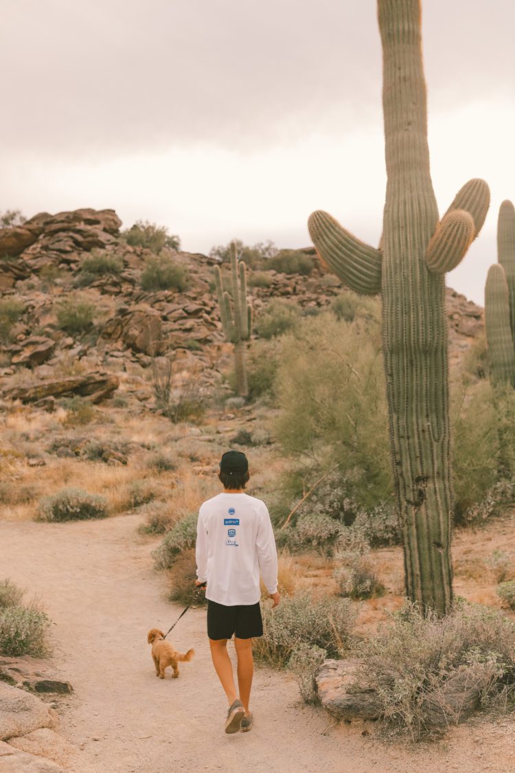 Hidden Valley via Mormon Trail Phoenix, Arizona | Simply Wander