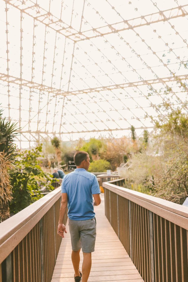 Biosphere 2: Tour a Mini Earth in the Arizona Desert | Simply Wander