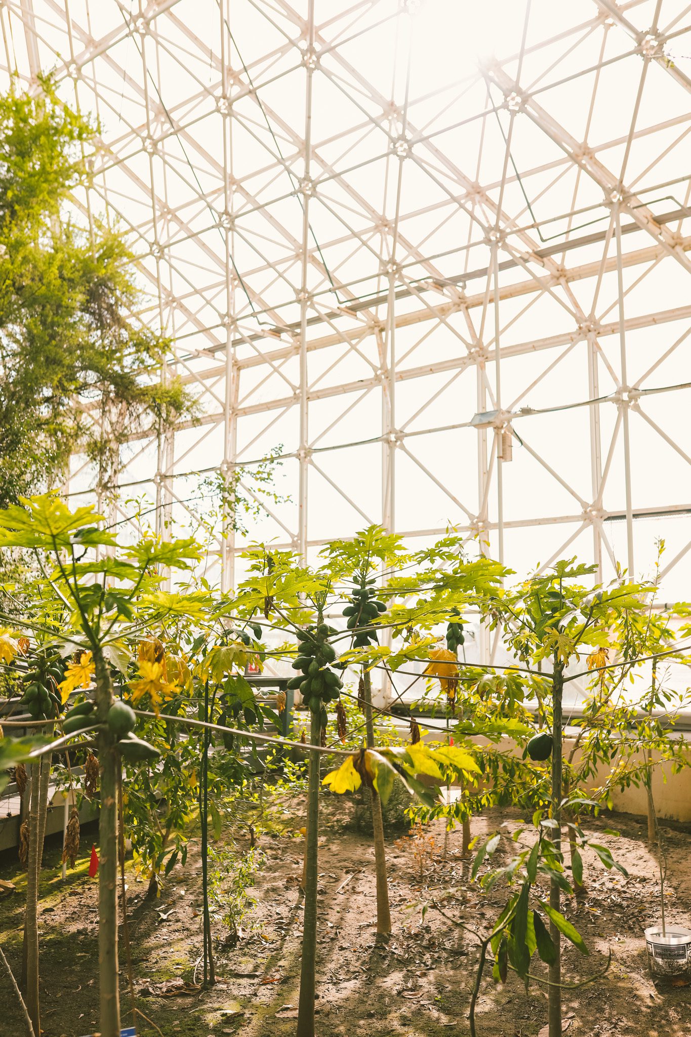 Biosphere 2: Tour a Mini Earth in the Arizona Desert | Simply Wander