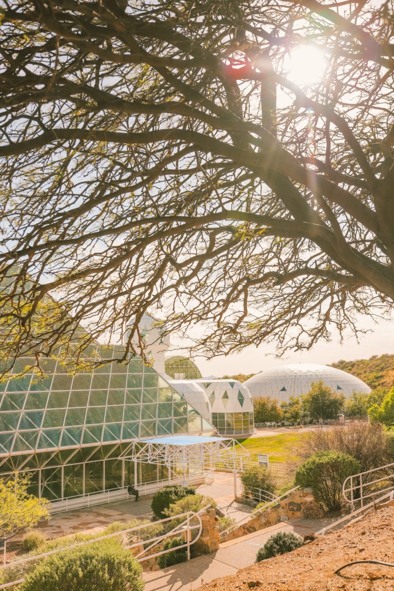 Biosphere 2: Tour a Mini Earth in the Arizona Desert | Simply Wander