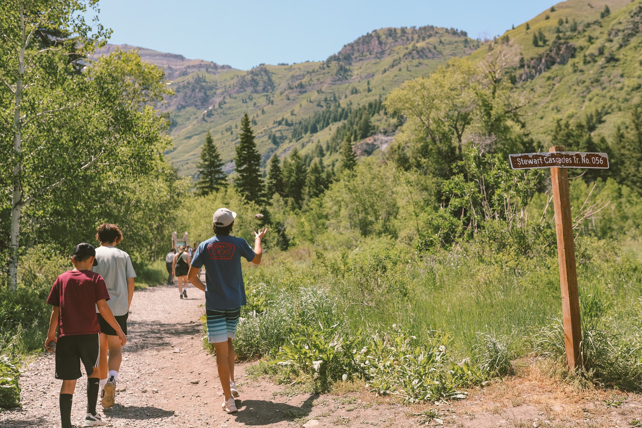 Stewart Falls: The Best Waterfall Hike in Utah | Simply Wander