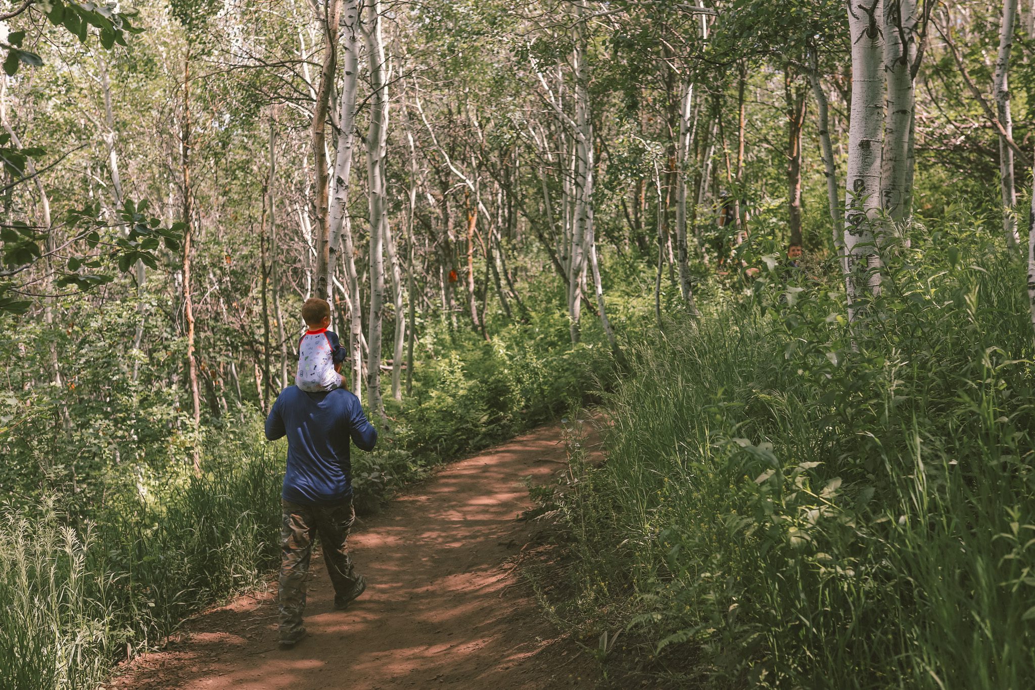 Stewart Falls: The Best Waterfall Hike in Utah | Simply Wander