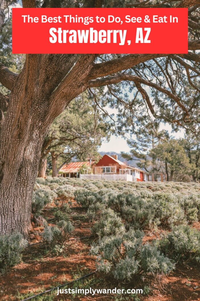 A Complete Guide to Visiting Strawberry, Arizona | Simply Wander