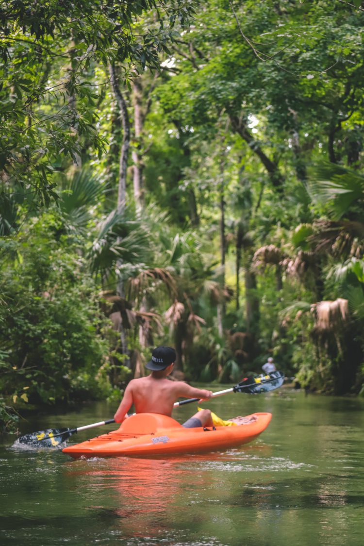 Tips for Kayaking at King's Landing Florida | Simply Wander