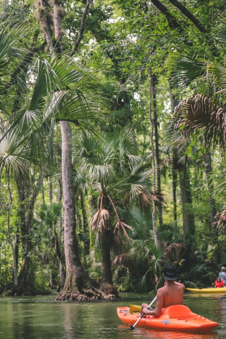 Tips for Kayaking at King's Landing Florida | Simply Wander