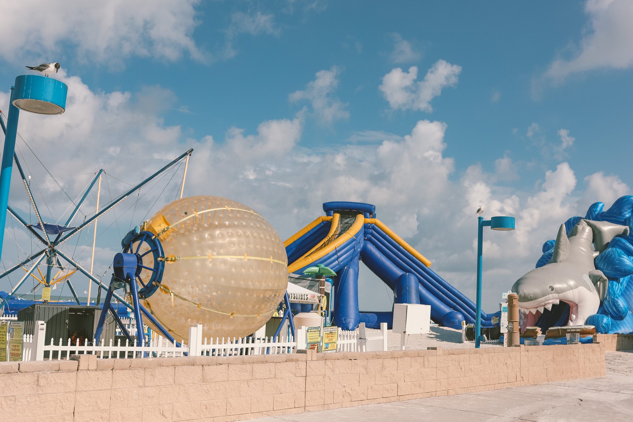 7 Things to Do in Clearwater, Florida | Simply Wander