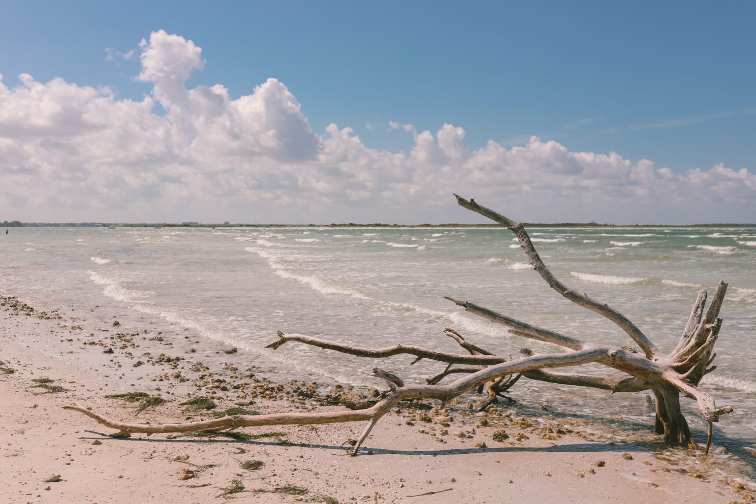 7 Things to Do in Clearwater, Florida | Simply Wander