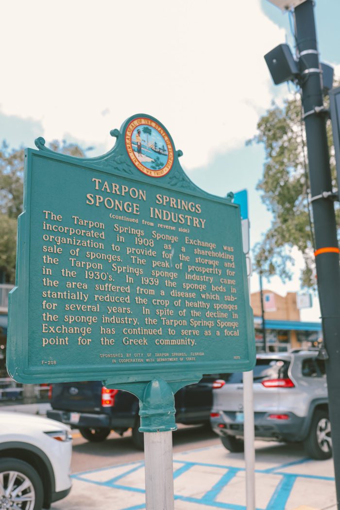 7 Things to Do in Clearwater, Florida | Simply Wander