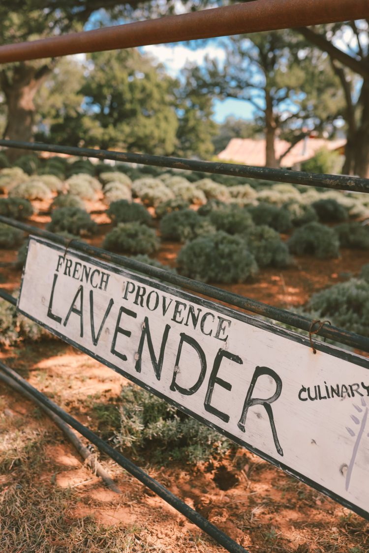 A First Time Guide to Visiting Strawberry, Arizona | Simply Wander