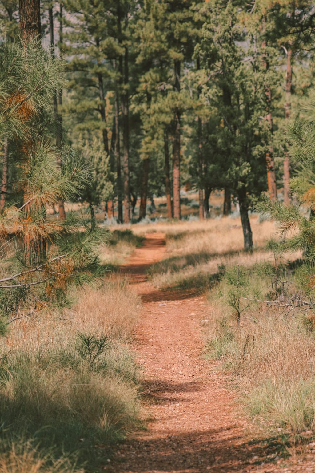 A First Time Guide to Visiting Strawberry, Arizona | Simply Wander