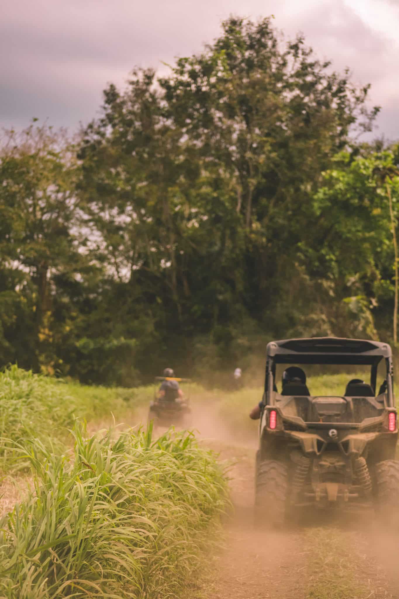 Visiting Carabalí Rainforest Park in Puerto Rico | Simply Wander