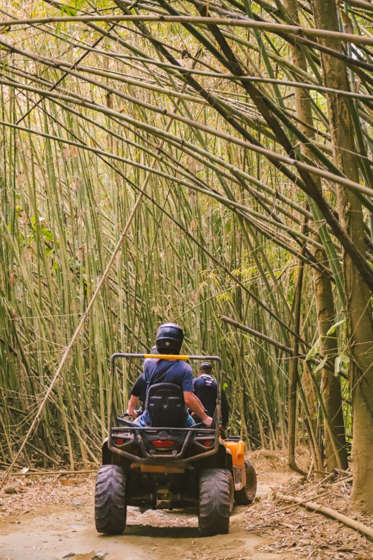 Visiting Carabalí Rainforest Park in Puerto Rico | Simply Wander