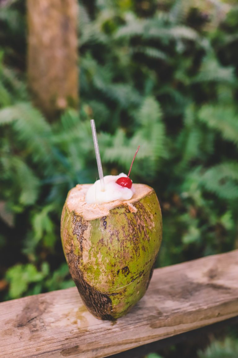 Visiting Carabalí Rainforest Park in Puerto Rico | Simply Wander