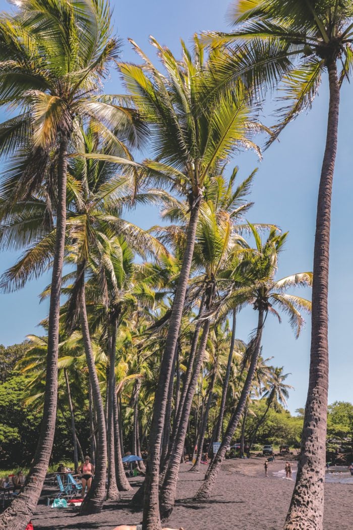 South Point Hawaii: A Big Island Hidden Gem | Simply Wander