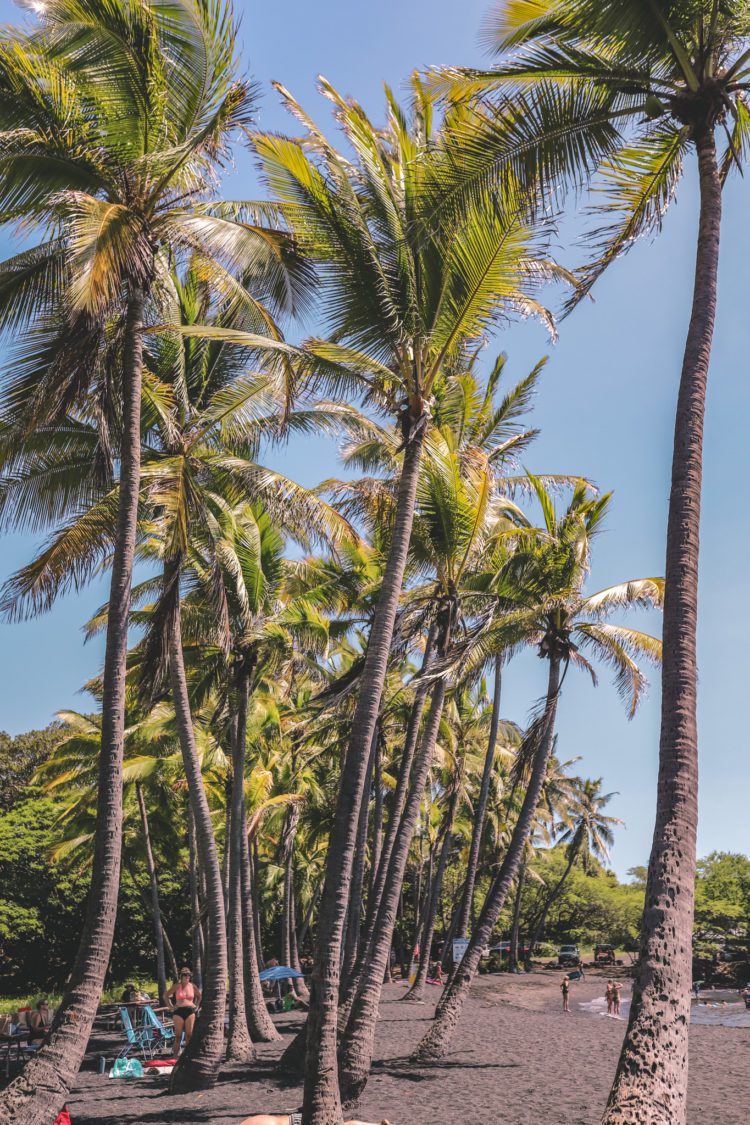 South Point Hawaii: A Big Island Hidden Gem | Simply Wander