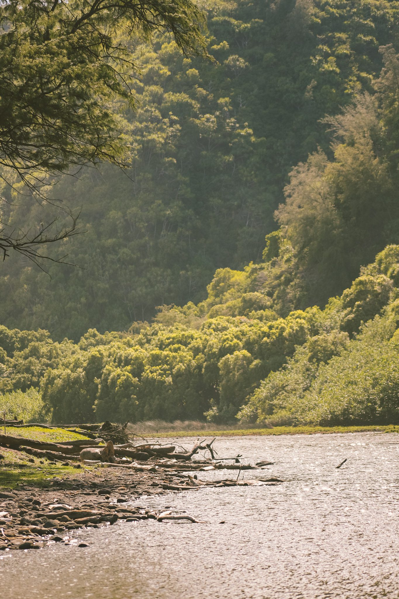 Hiking the Pololū Valley Lookout Trail | Big Island - Simply Wander