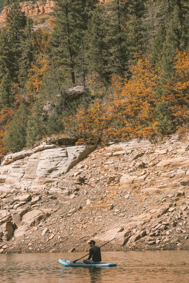 Blue Ridge Reservoir: An Arizona Hidden Gem Simply Wander