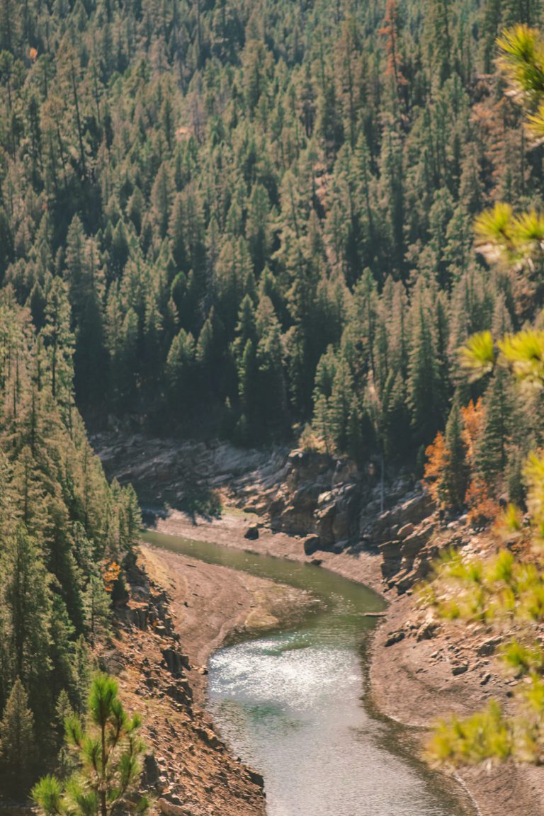 Blue Ridge Reservoir: An Arizona Hidden Gem Simply Wander