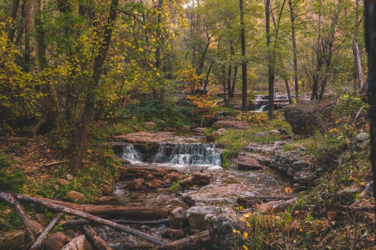 Tips for Hiking Horton Creek Trail in Arizona | Simply Wander