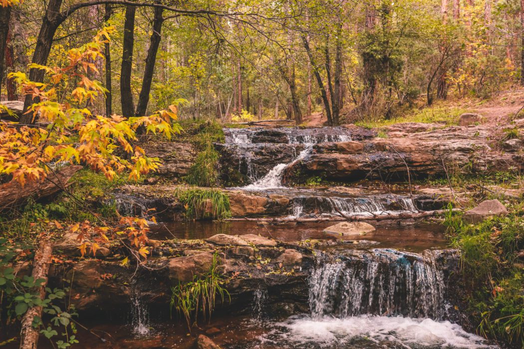 8 Places to See Fall Leaves in Arizona - Simply Wander