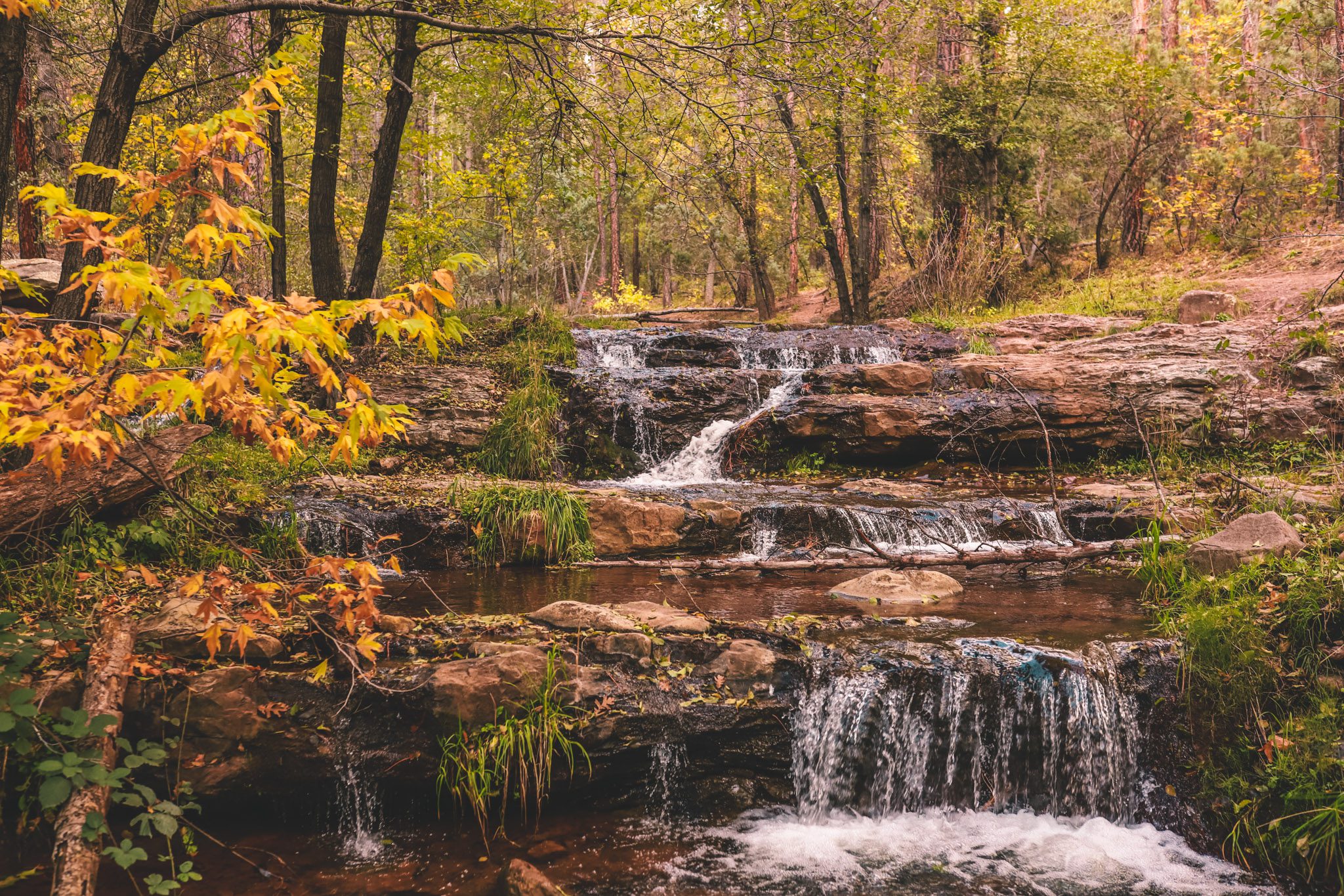 8 Places to See Fall Leaves in Arizona - Simply Wander