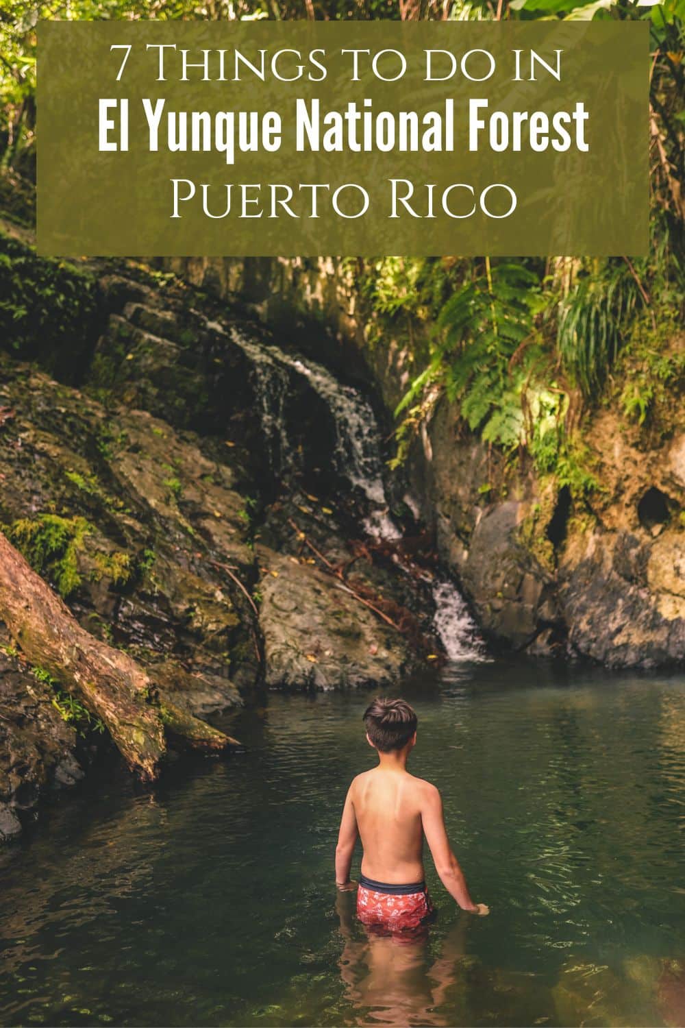 Visiting El Yunque National Forest Puerto Rico | Simply Wander