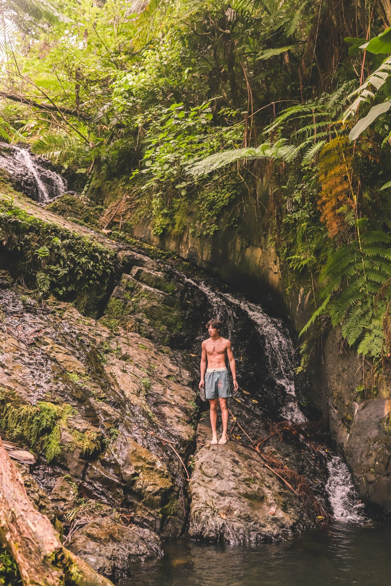 Visiting El Yunque National Forest Puerto Rico | Simply Wander