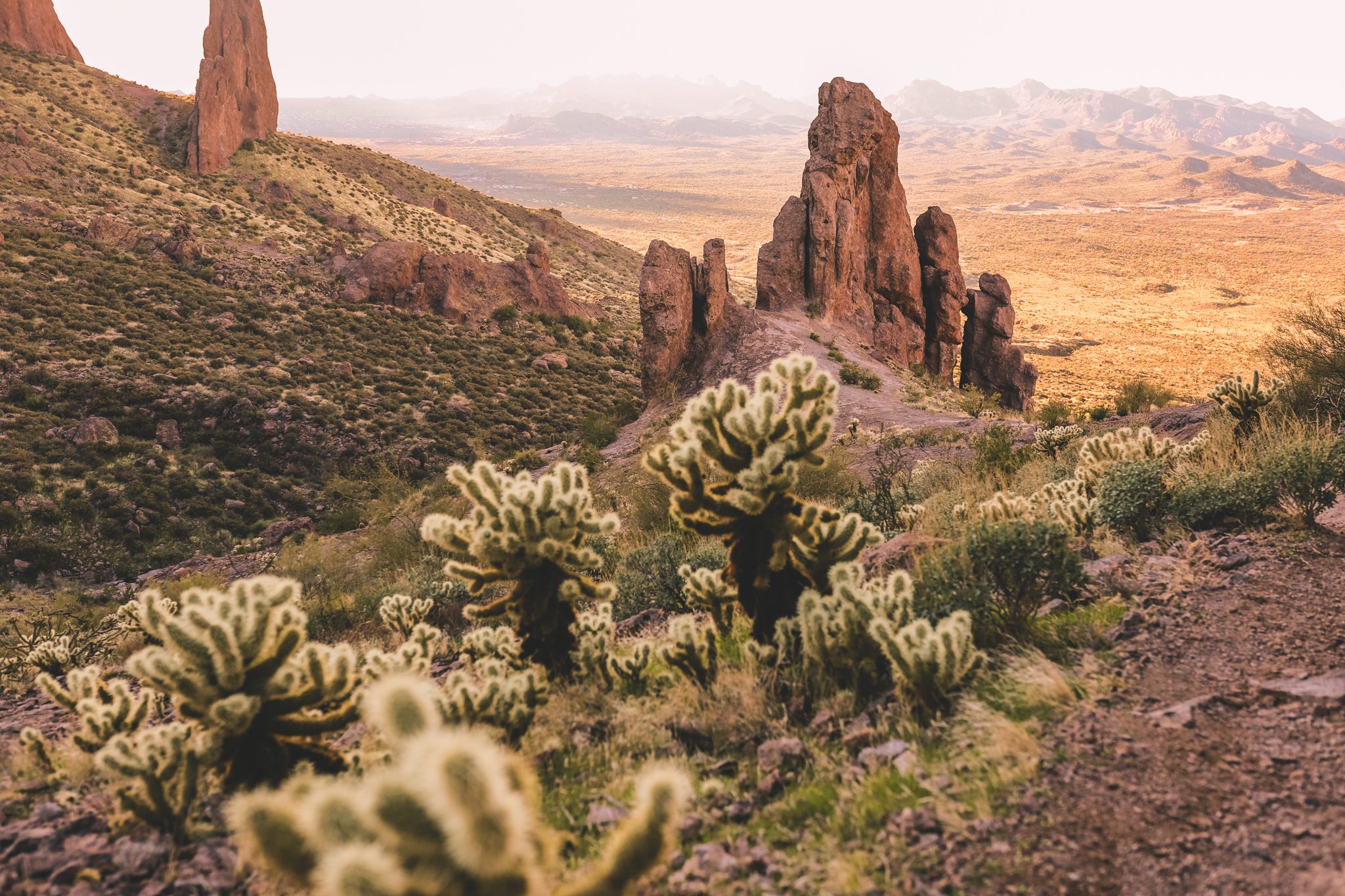 11 of the Best Hikes in Phoenix, Arizona | Simply Wander