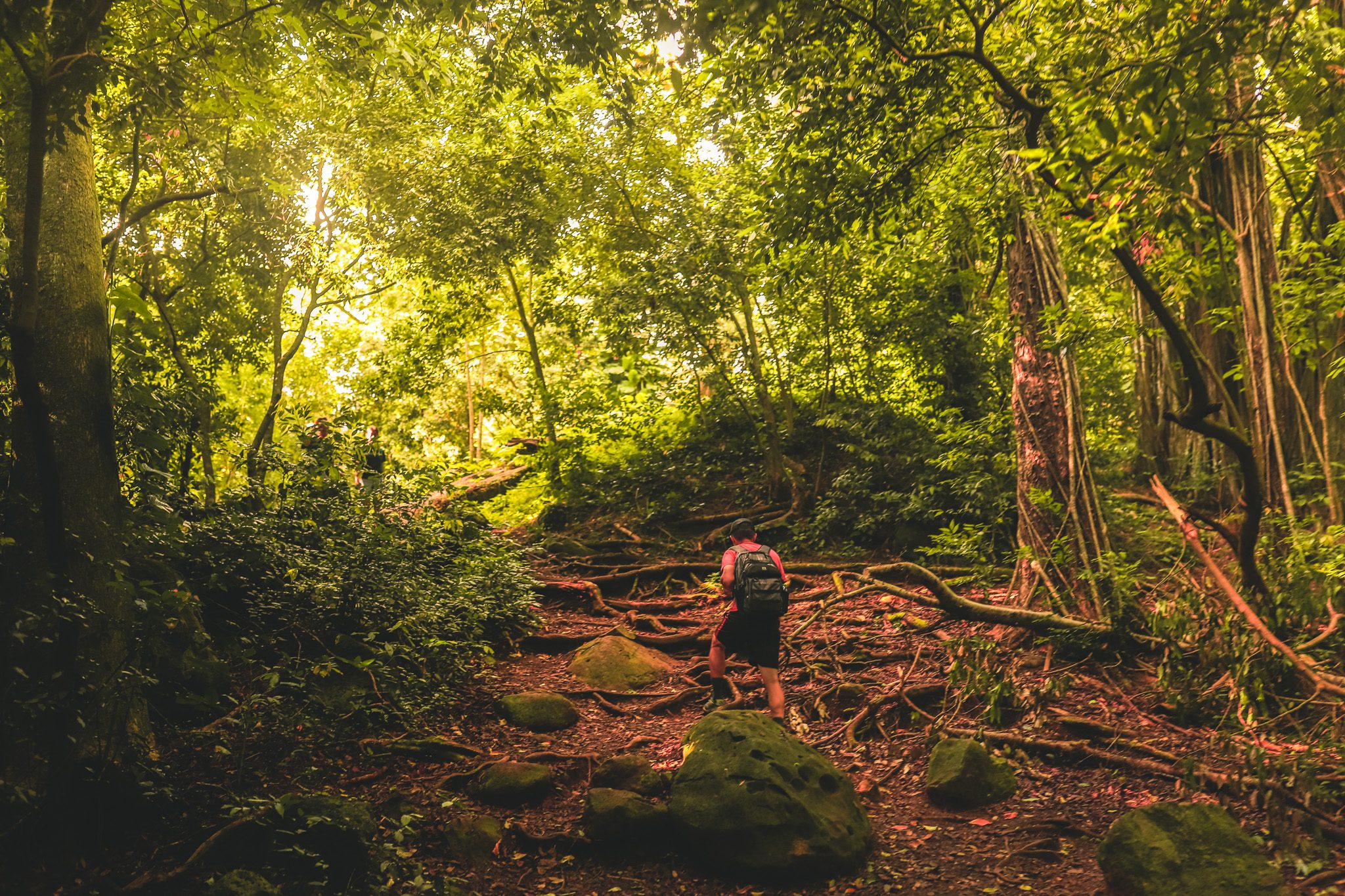 8 of the Best Hikes on Oahu, Hawaii | Simply Wander