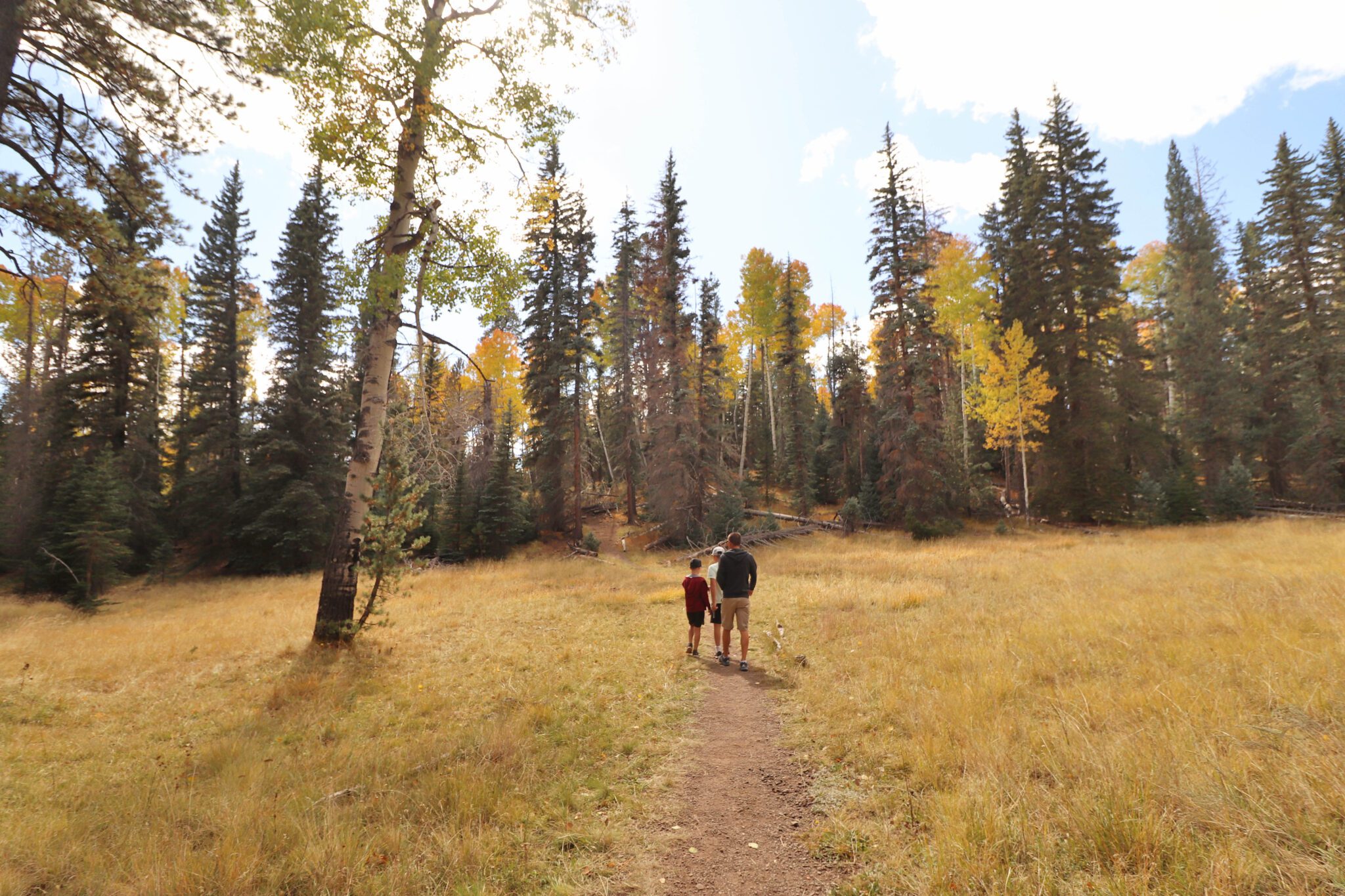 8 Places to See Fall Leaves in Arizona - Simply Wander