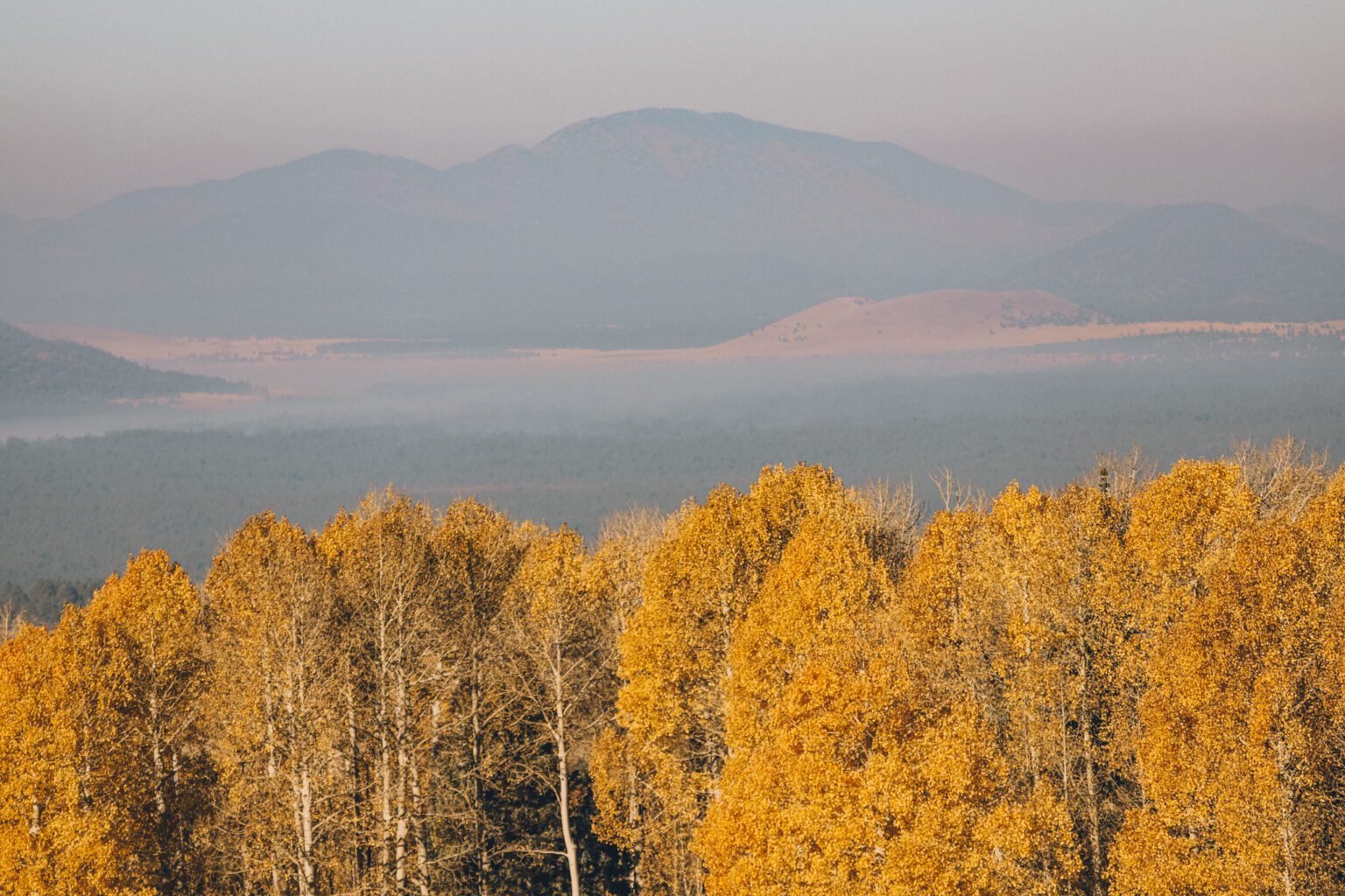 8 Places to See Fall Leaves in Arizona - Simply Wander