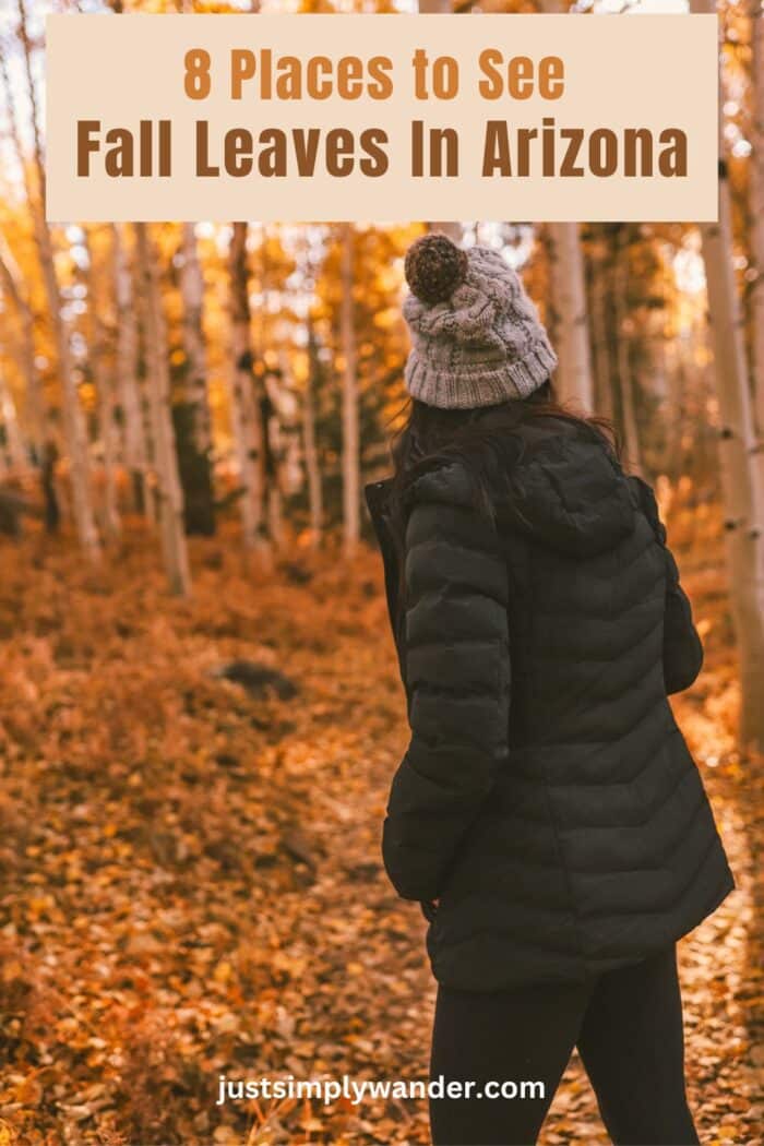 8 Places to See Fall Leaves in Arizona - Simply Wander