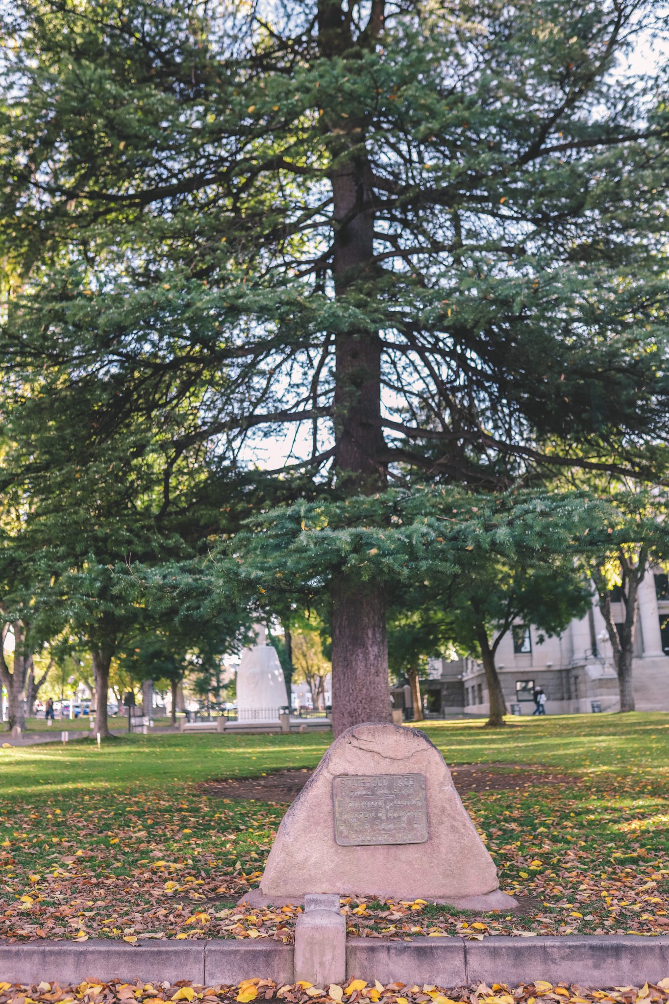 Top 8 Things to Do in Prescott, Arizona - Simply Wander