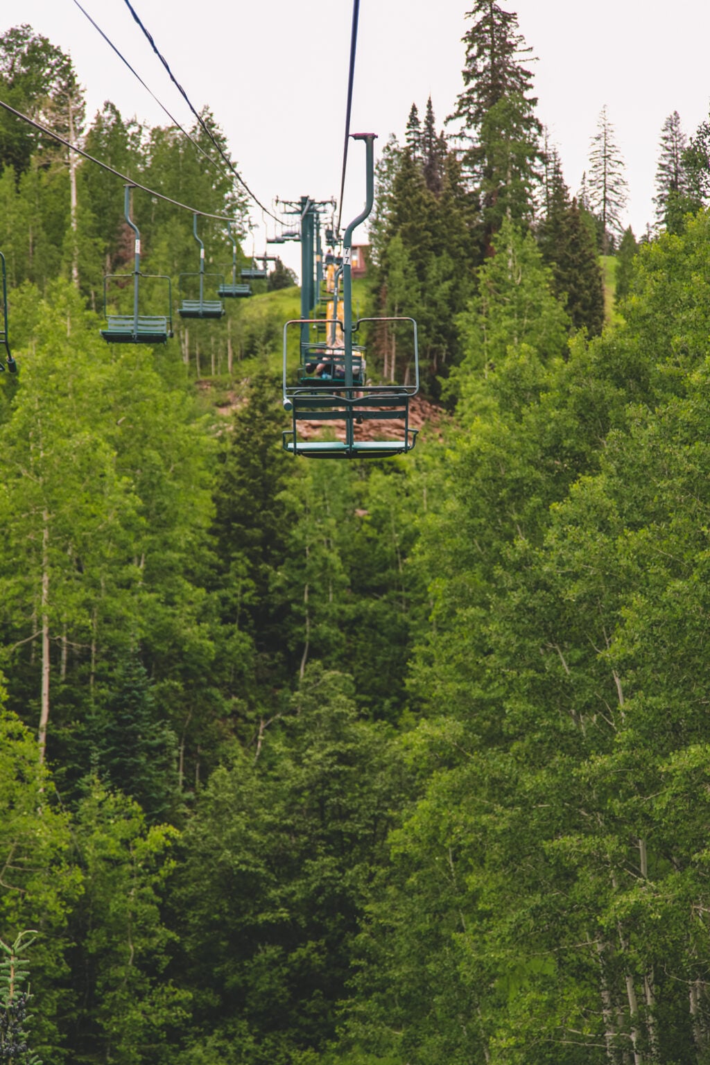 6 Things to Do in Durango, CO in the Summer | Simply Wander