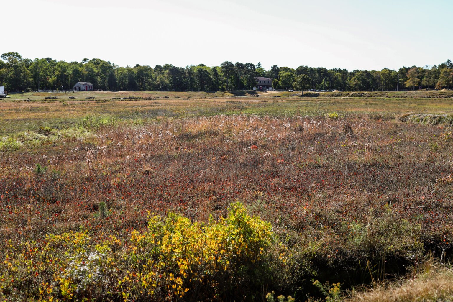 9 Things to Do During Fall in Cape Cod - Simply Wander