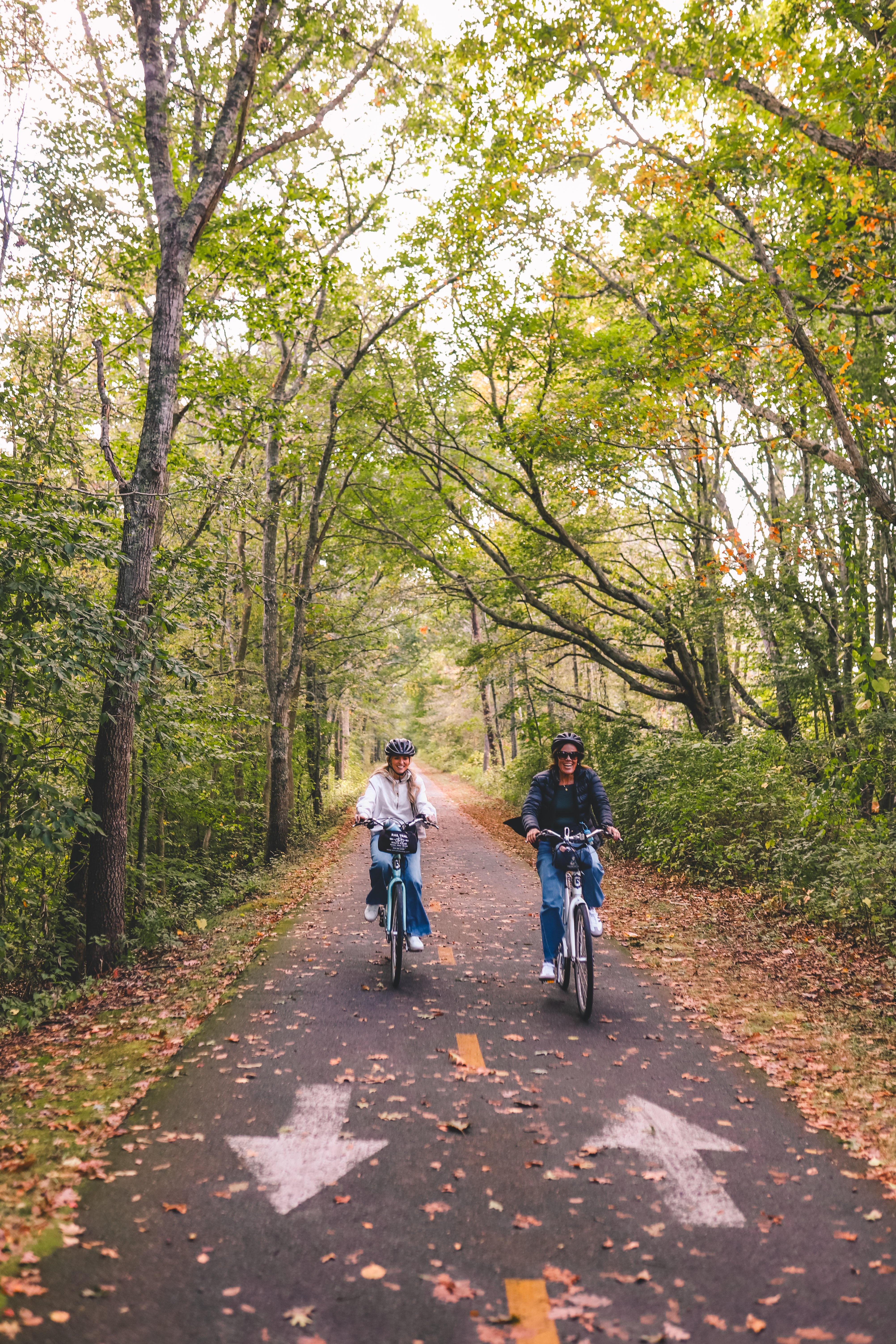 9 Things to Do During Fall in Cape Cod - Simply Wander