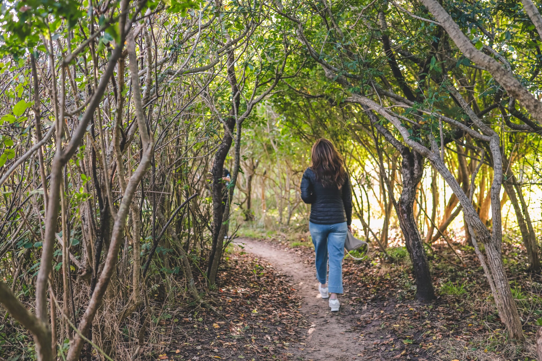 The Best Things to Do on a Day Trip to Nantucket Island | Simply Wander