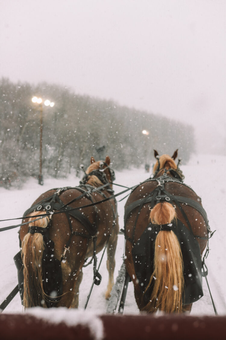 10 Fun Things to Do in Park City in the Winter | Simply Wander